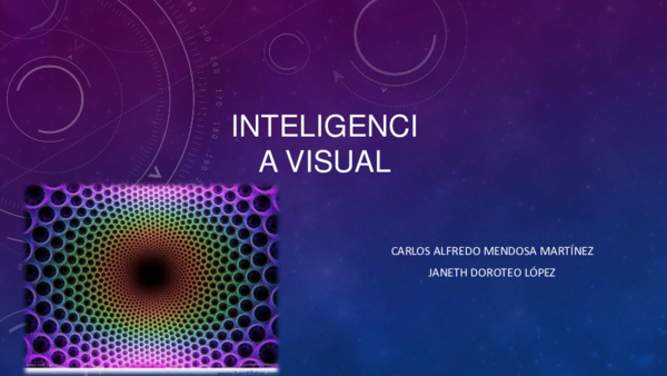 (PPT) Inteligencia visual