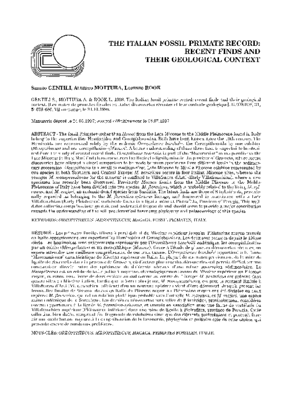 (PDF) The Italian fossil primate record: recent finds and their ...