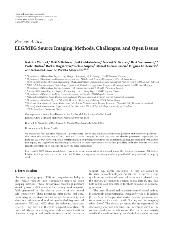 (PDF) EEG/MEG Source Imaging: Methods, Challenges, and Open Issues