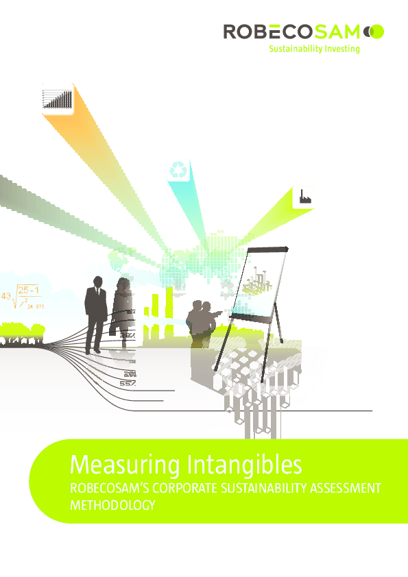 (PDF) Measuring Intangibles ROBECOSAM'S CORpORAtE SuStAInABIlIty ASSESSMEnt MEthOdOlOgy