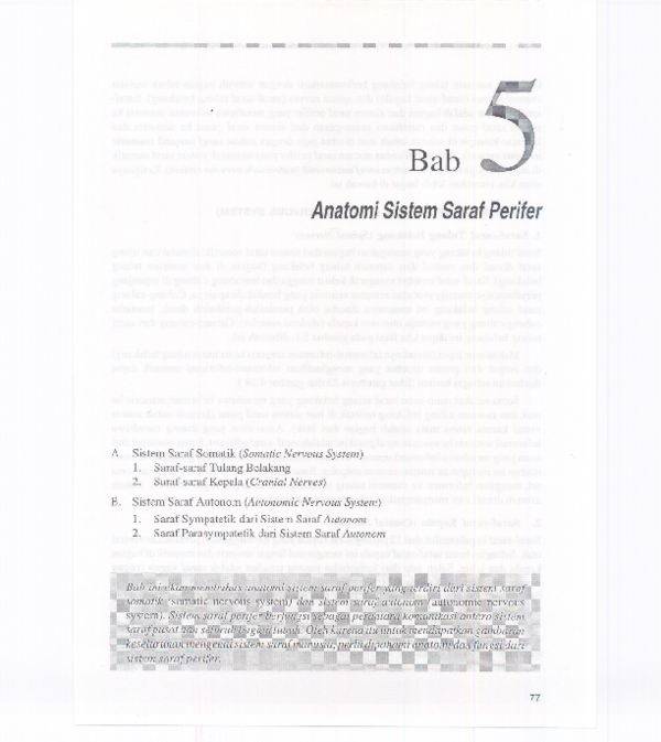 (PDF) bab5 anatomi sistem saraf perifer