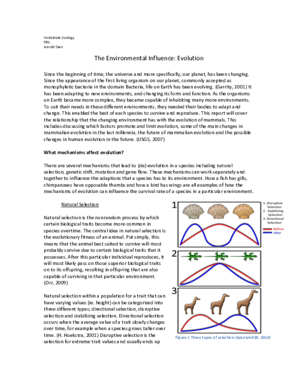 (DOC) The Environmental Effect: Evolution