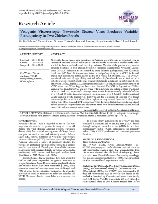 (PDF) Velogenic viscerotropic Newcastle disease virus produces variable ...