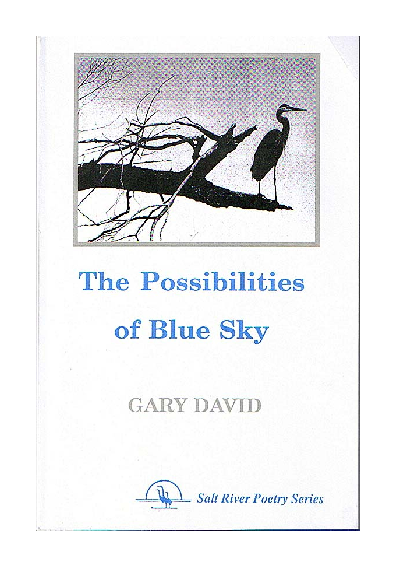 (PDF) The Possibilities of Blue Sky