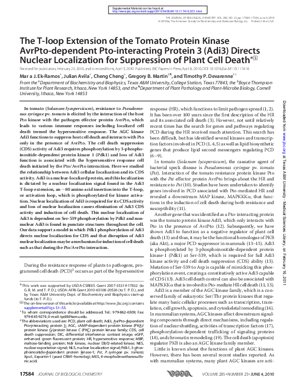 (PDF) The T-loop extension of the tomato protein kinase AvrPto ...