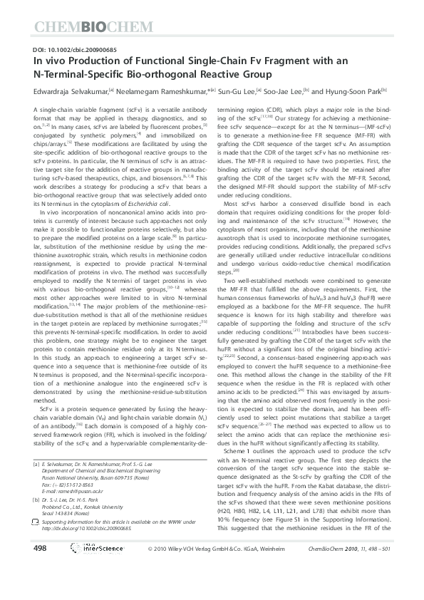 In vivo Production of Functional Single-Chain Fv Fragment with an N ...
