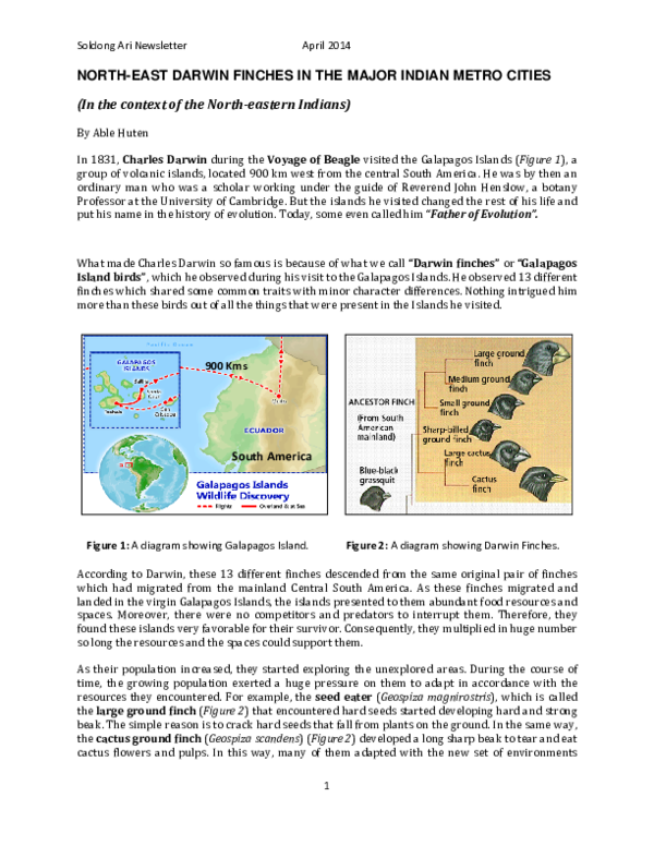 North-East Darwin Finches in the Major Indian Metro Cities