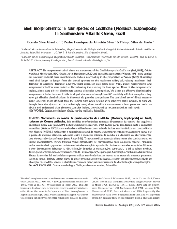 (PDF) Shell morphometrics in four species of Gadilidae (Mollusca ...