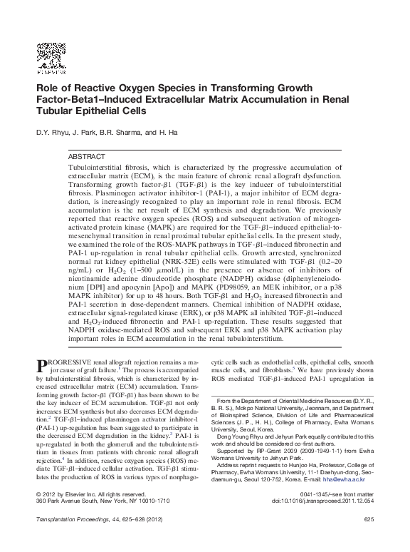Pdf Role Of Reactive Oxygen Species In Transforming Growth Factor Beta1 Induced Extracellular