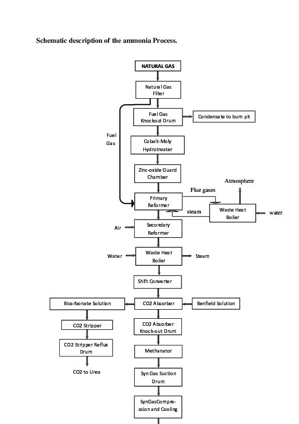 (DOC) Group 4 ammonia Process