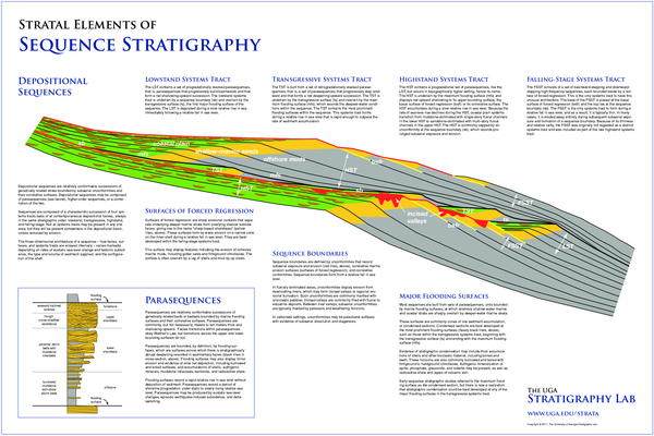 (PDF) Stratal Elements Poster