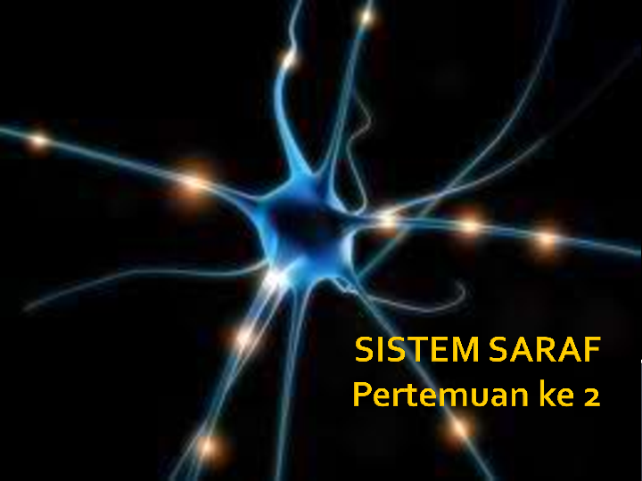 (PPT) Pert 2 SISTEM SARAF I neuron2011-2012