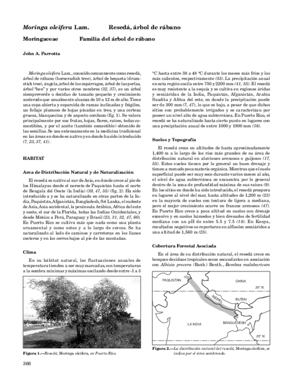 (PDF) Moringa oleifera