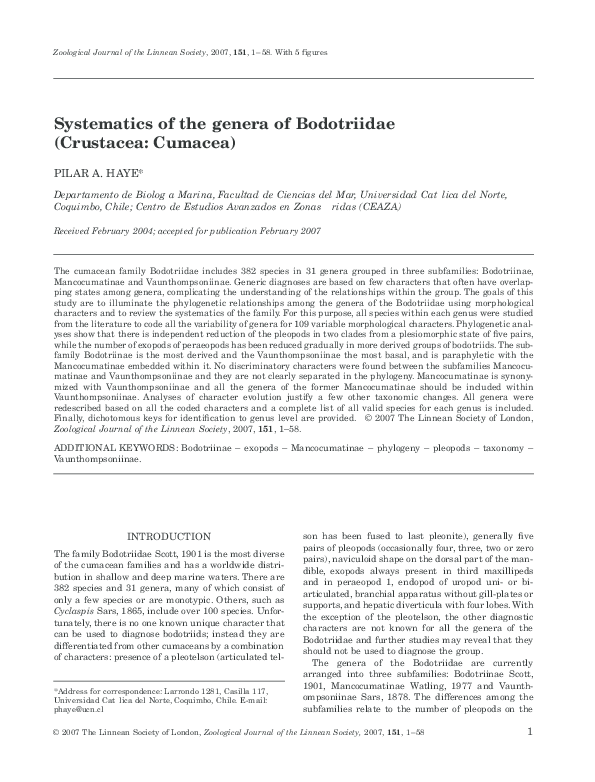 (PDF) Haye 07 Systematics the genera Bodotriidae (Crustacea, Cumacea)
