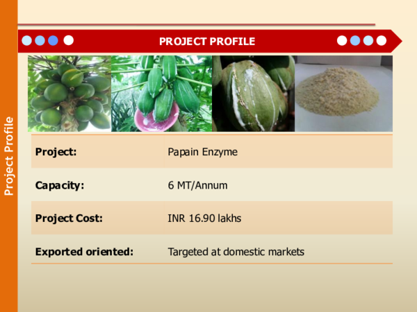 (PDF) Project Profile of Papain enzyme