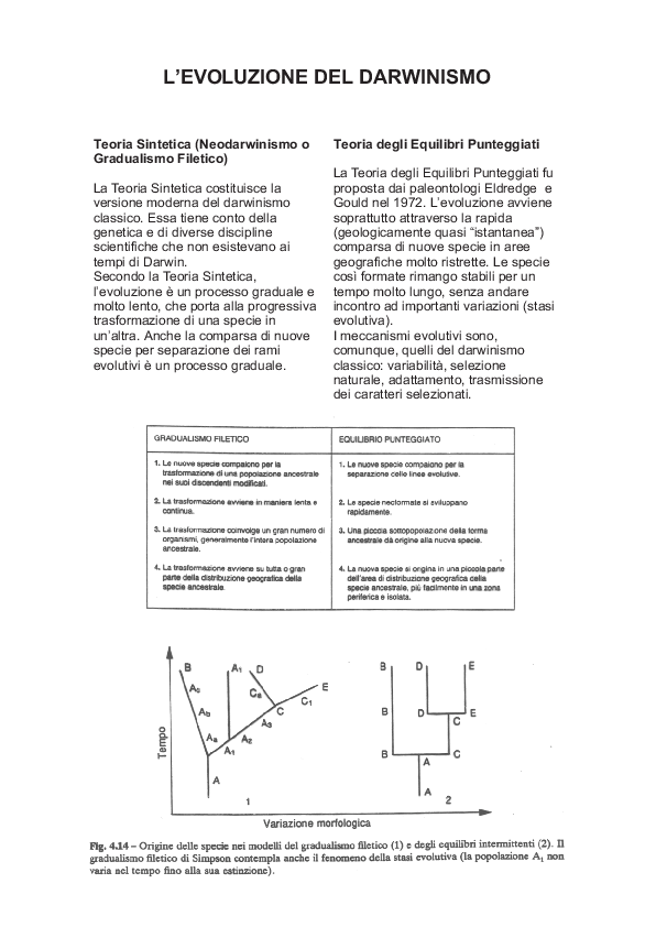 (PDF) Teoria Sintetica (Neodarwinismo o Gradualismo Filetico)