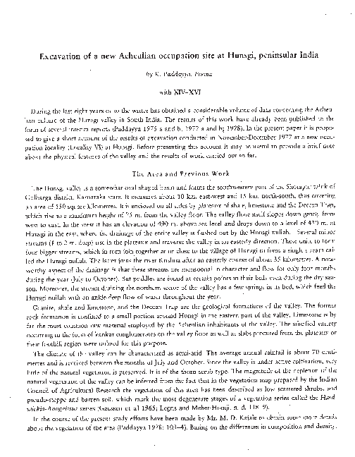 (PDF) Excavation of a new Acheulian occupation site at Hunsgi ...