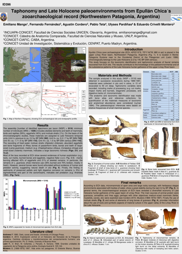 Taphonomy and Late Holocene paleoenvironments from Epullán Chica ...