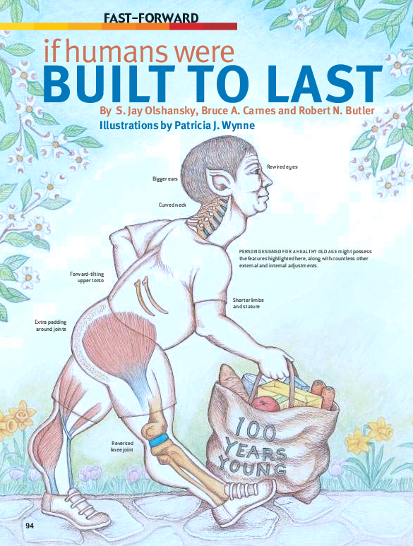 (PDF) If Humans Were Built to Last