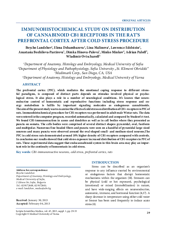 (PDF) IMMUNOHISTOCHEMICAL STUDY ON DISTRIBUTION OF CANNABINOID CB1 ...