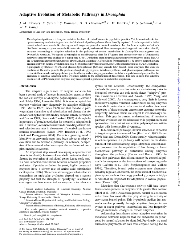 (PDF) Adaptive Evolution of Metabolic Pathways in Drosophila