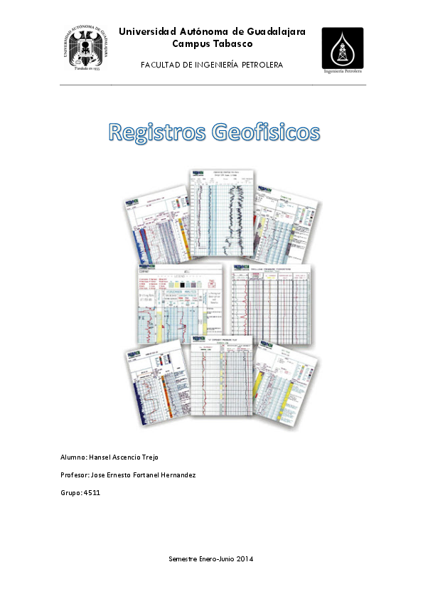 (PDF) registros geofisicos