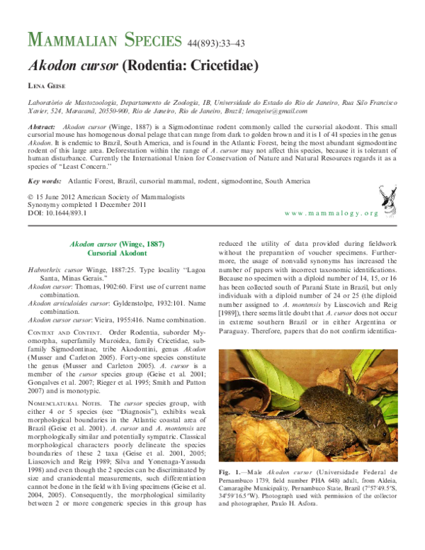 (PDF) Akodon cursor (Rodentia: Cricetidae)