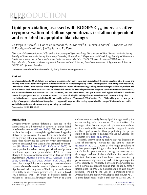 (PDF) Lipid peroxidation assessed with BODIPY C11