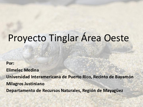 (PPT) Presentacion anidaje tortugas marinas 2011