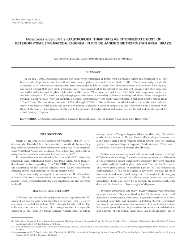 (PDF) Melanoides tuberculatus (GASTROPODA: THIARIDAE) AS INTERMEDIATE ...