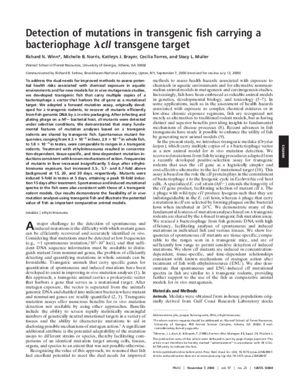 (PDF) Detection of mutations in transgenic fish carrying a bacteriophage lambda; cII transgene ...