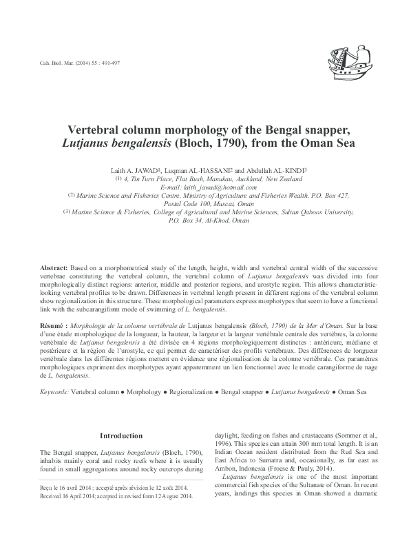 (PDF) Vertebral column morphology of the Bengal snapper, Lutjanus ...