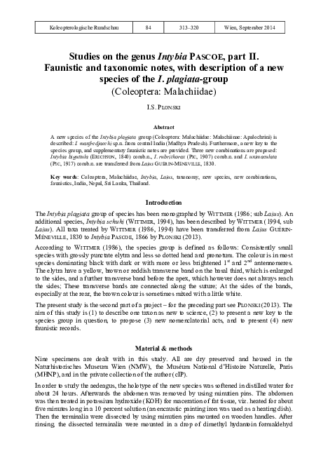 (PDF) Studies on the genus Intybia PASCOE , part II. Faunistic and ...