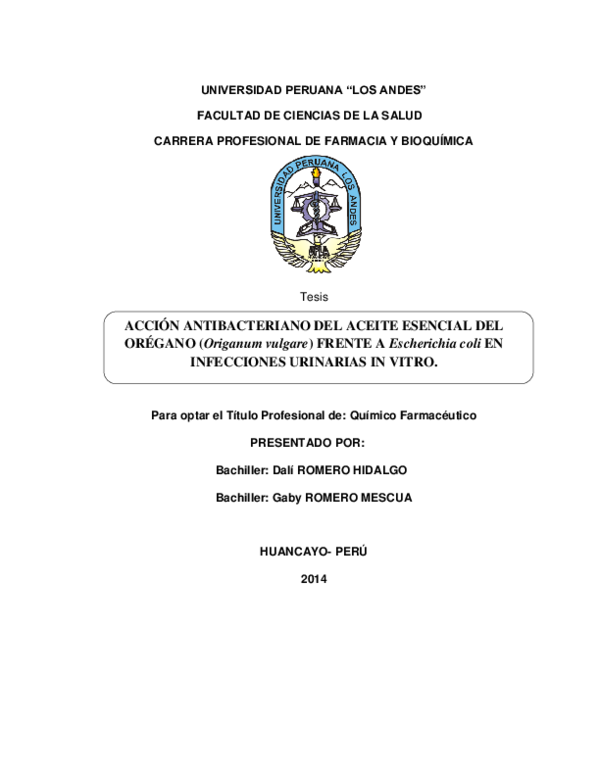 (DOC) UNIVERSIDAD PERUANA "LOS ANDES" FACULTAD DE CIENCIAS DE LA SALUD