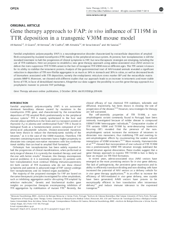 Gene therapy approach to FAP: in vivo influence of T119M in TTR ...