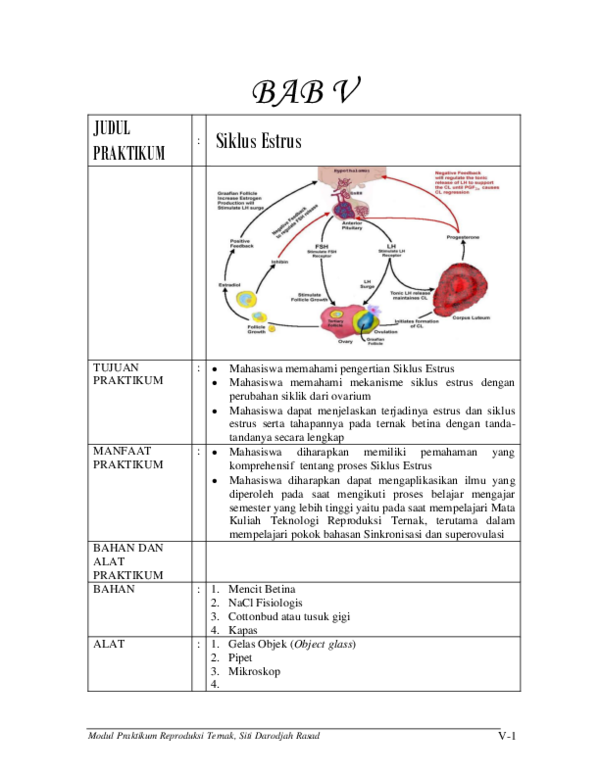 (PDF) modul v siklus estrus