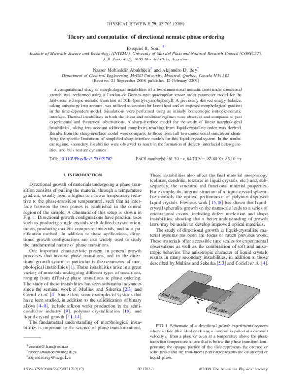 Pdf Theory And Computation Of Directional Nematic Phase Ordering
