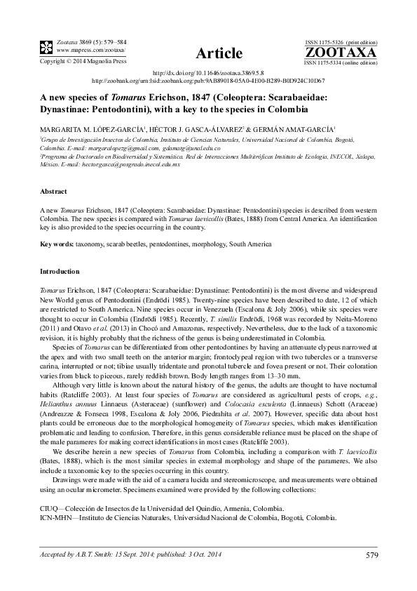(PDF) A new species of Tomarus Erichson, 1847 (Coleoptera: Scarabaeidae ...