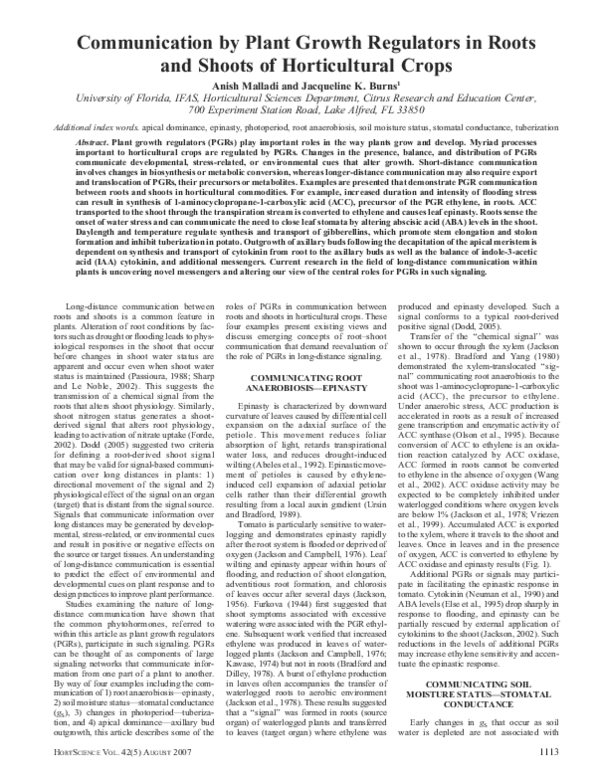 (PDF) Communication by Plant Growth Regulators in Roots and Shoots of ...