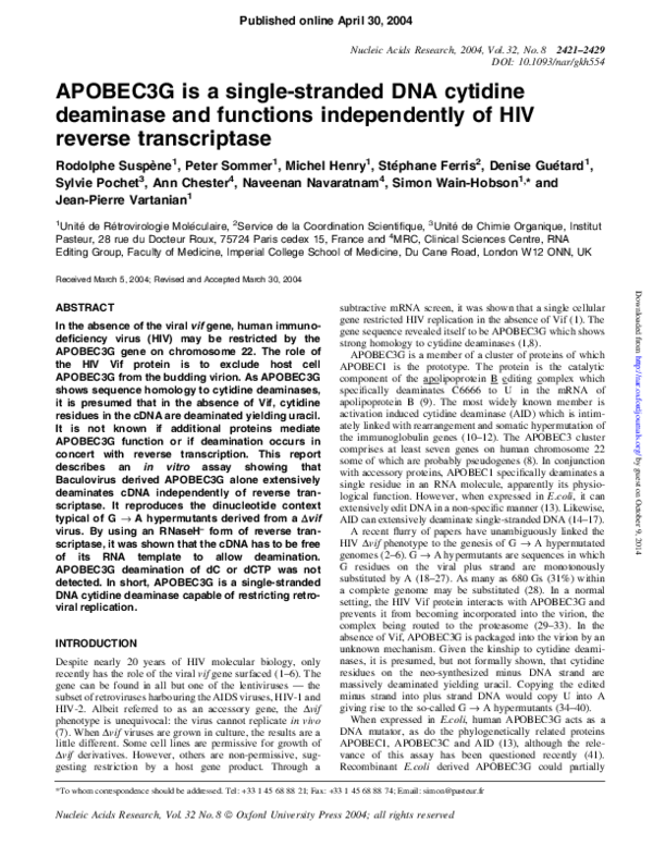 (PDF) APOBEC3G is a single-stranded DNA cytidine deaminase and ...