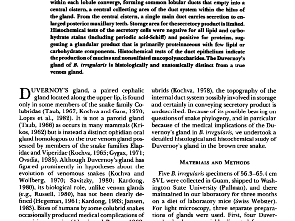 (PPT) Zalisko & Kardong. 1992. Histology and Histochemistry of the ...
