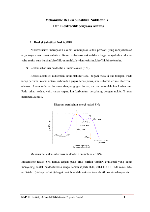 (DOC) Mekanisme Reaksi Substitusi Nukleofilik Dan Elektrofilik pada ...
