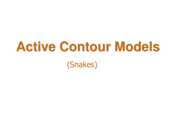 (PDF) Active Contour Models