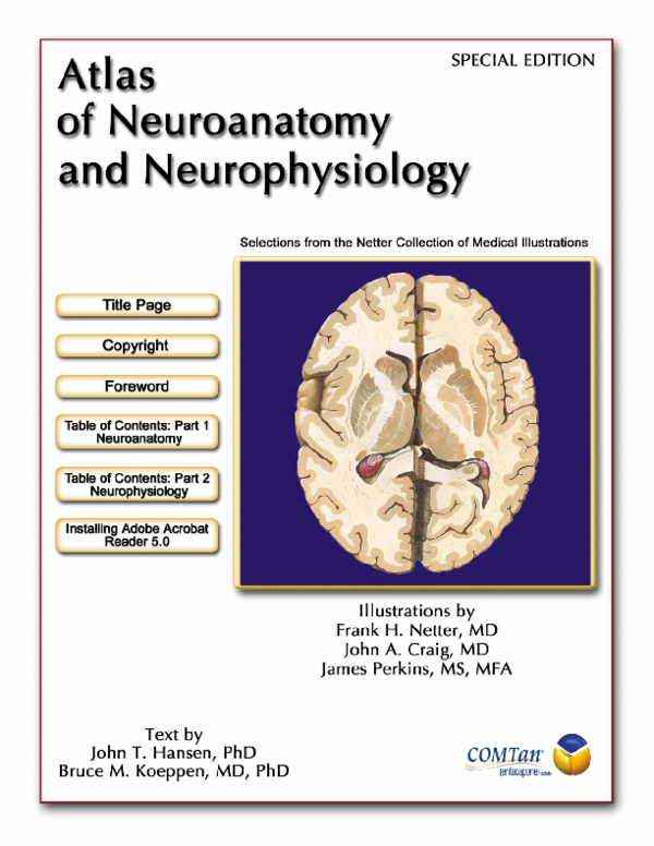 (PDF) Atlas of Neuroanatomy and Neurophysiology.
