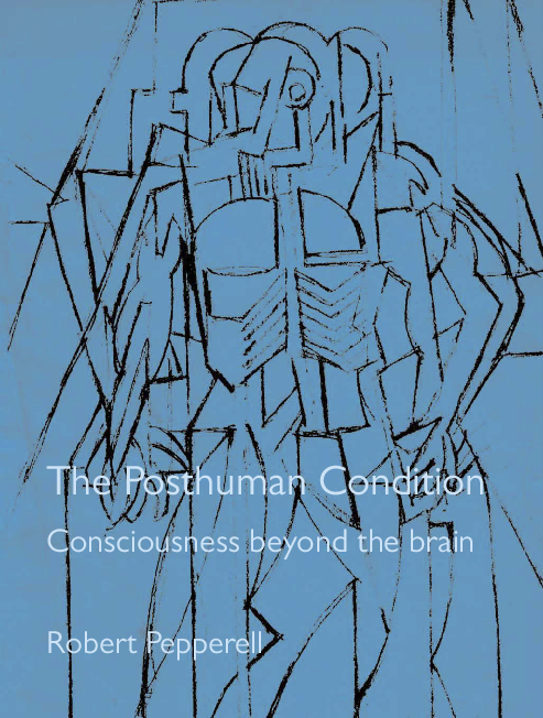 (PDF) The Posthuman Condition: Consciousness Beyond the Brain