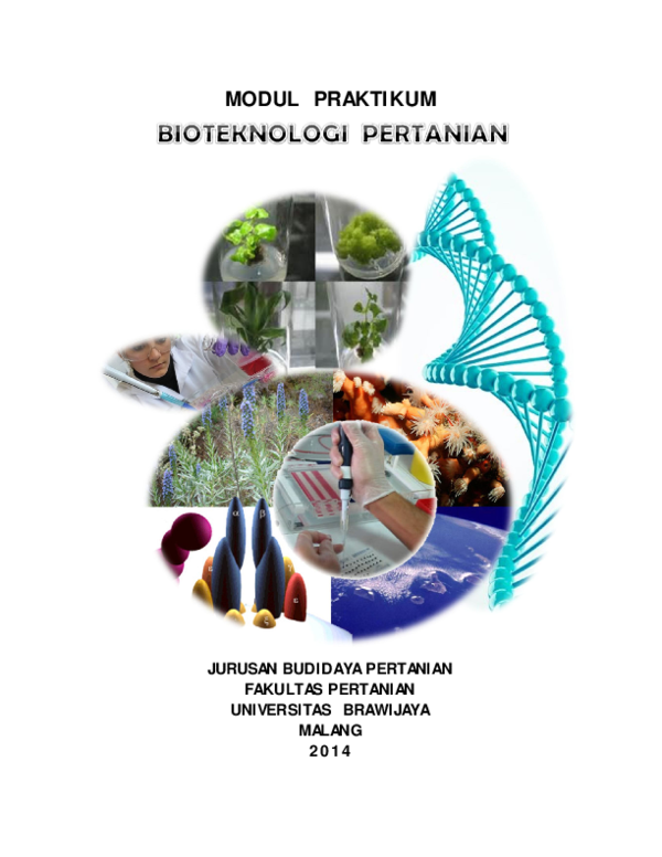 (PDF) MODUL PRAKTIKUM