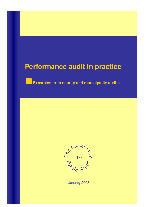 (PDF) Performance audit in practice