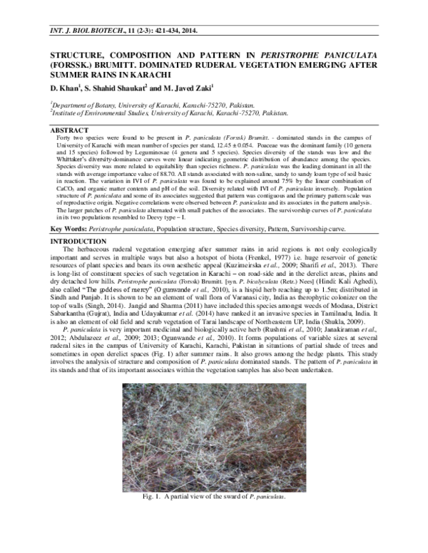 (PDF) STRUCTURE, COMPOSITION AND PATTERN IN PERISTROPHE PANICULATA ...