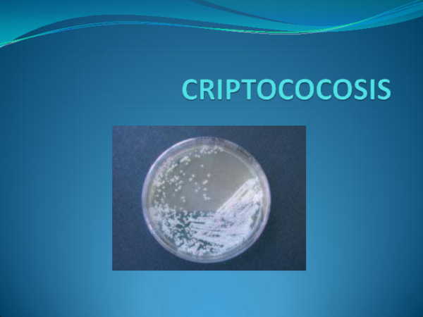 (PPT) CRIPTOCOCOSIS
