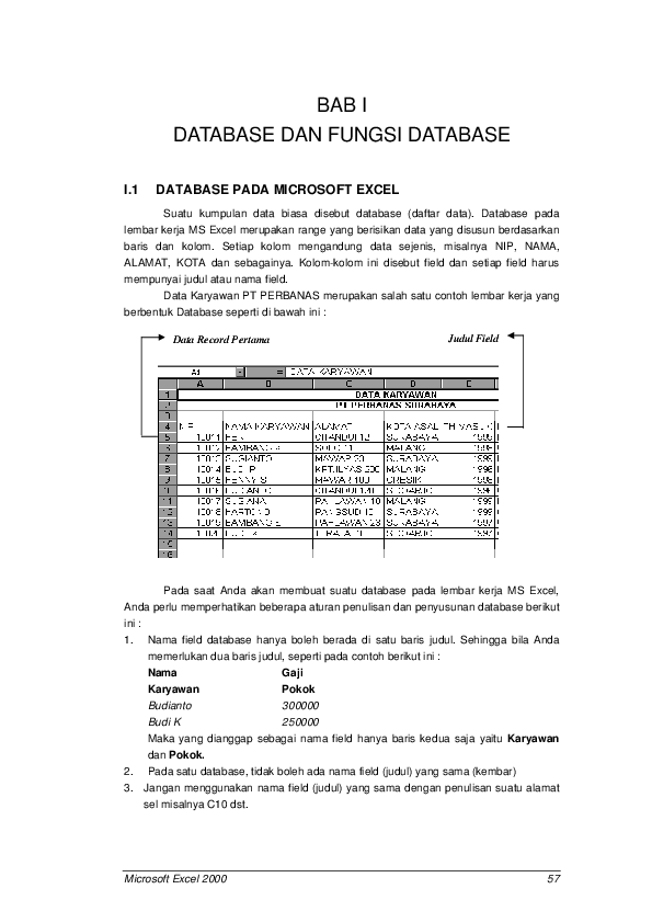 BAB I DATABASE DAN FUNGSI DATABASE I.1 DATABASE PADA MICROSOFT EXCEL